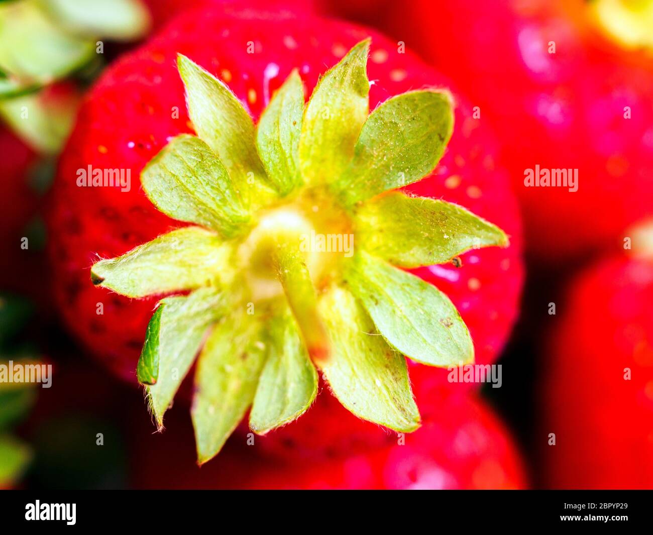 Inside consumer digital camera hi-res stock photography and images - Alamy