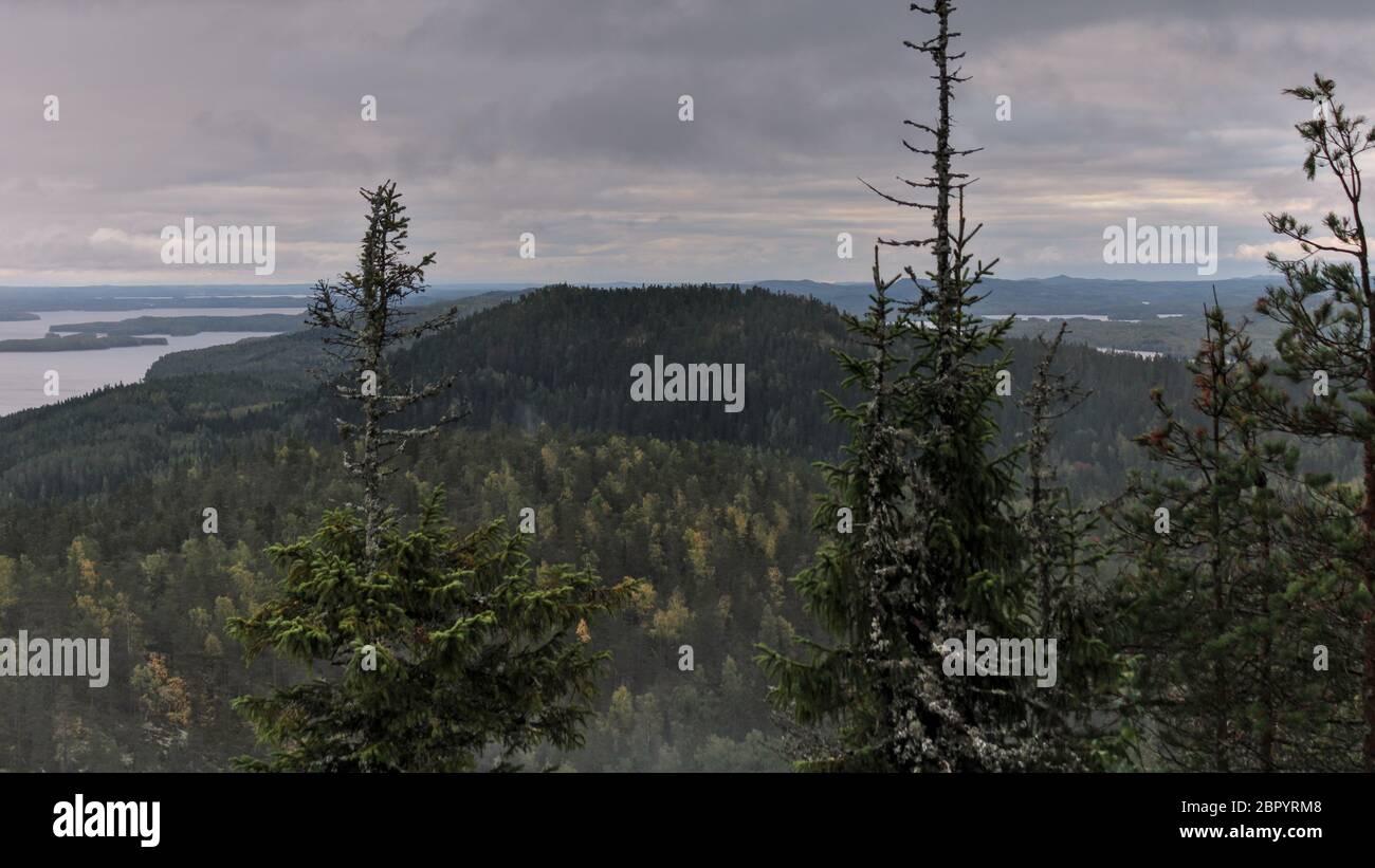 Ukko-Koli, Lieksa, Finland Stock Photo - Alamy