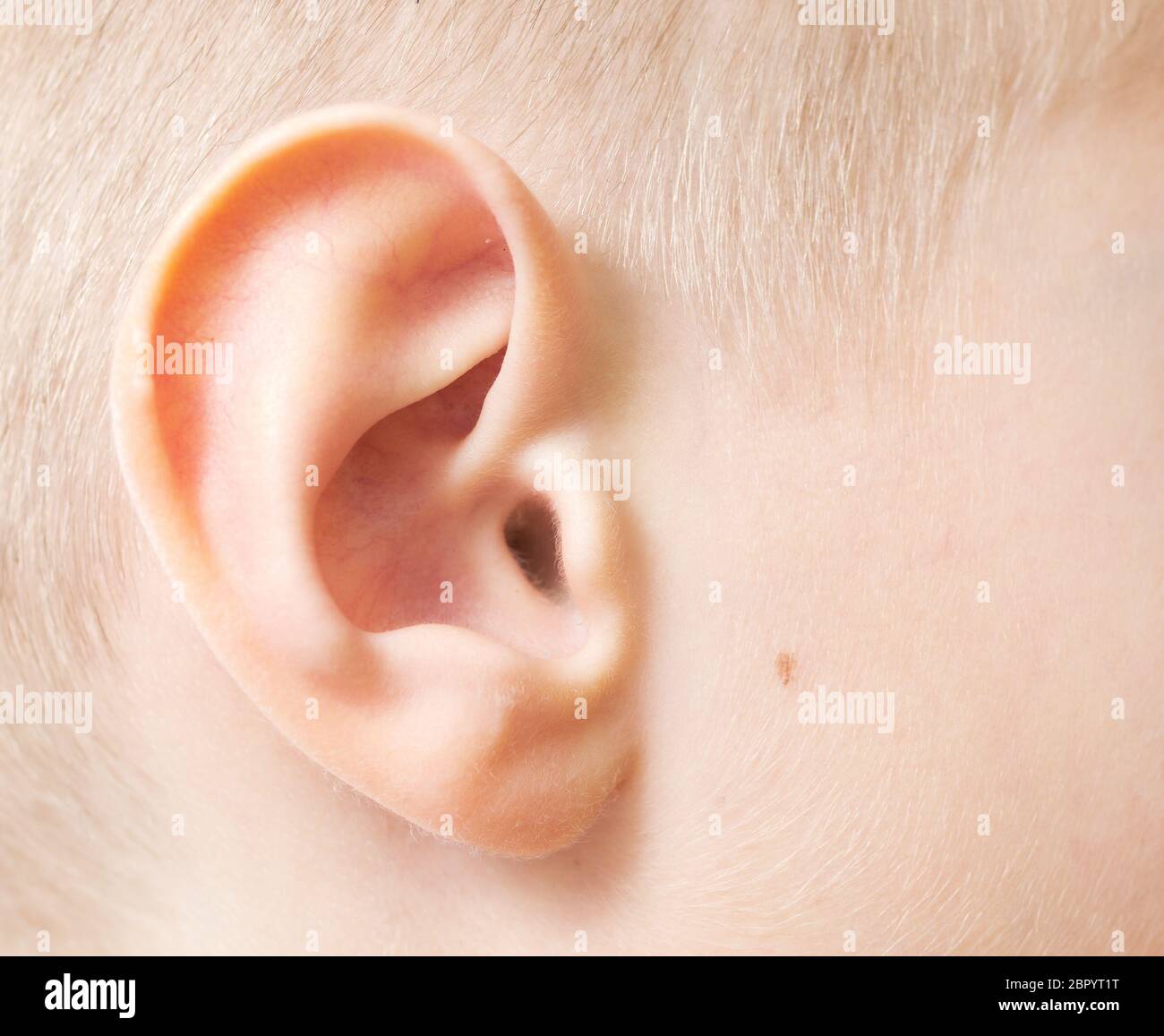 Close-up photo of human ear. Macro photography Stock Photo - Alamy