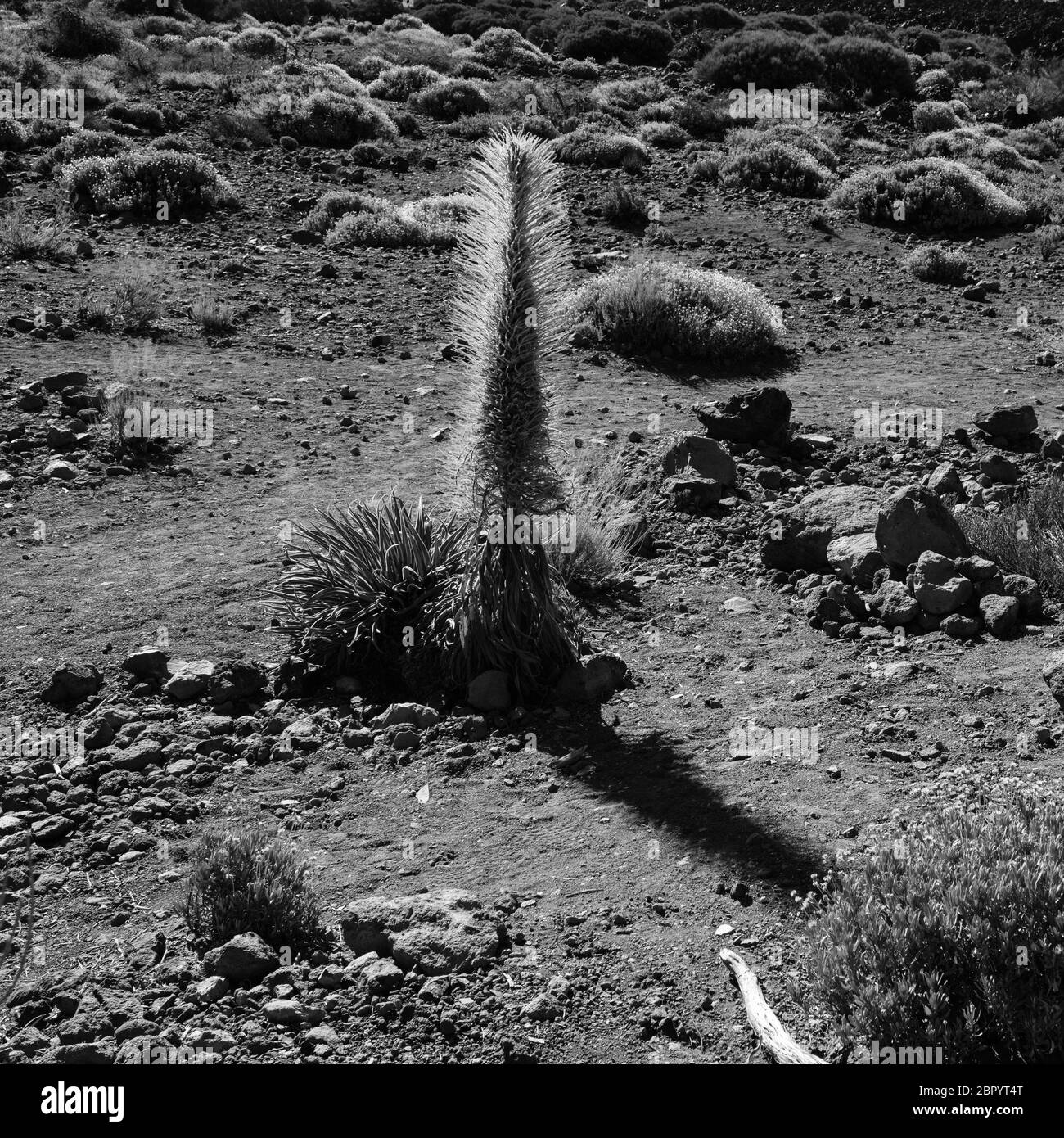 Mount 5 Black and White Stock Photos & Images - Alamy