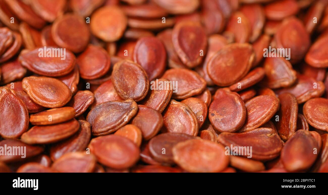 Red watermelon seed Stock Photo - Alamy