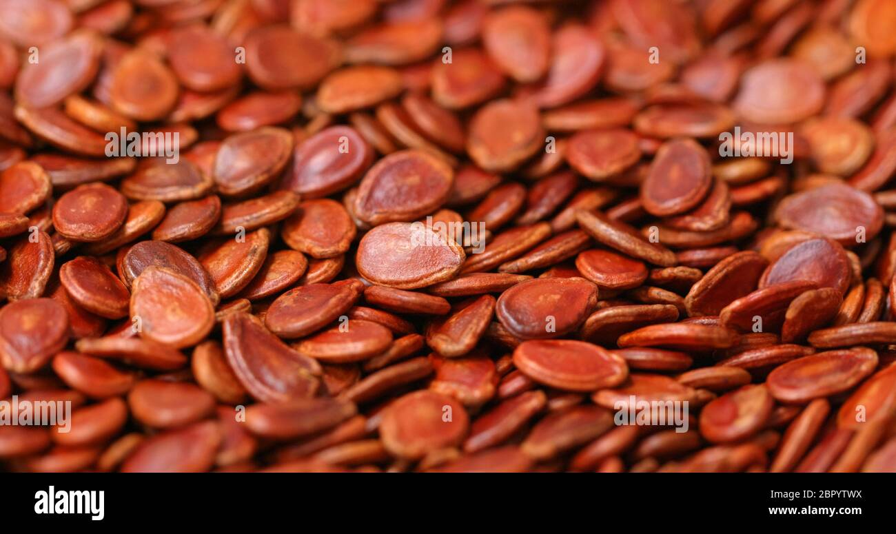 Red watermelon seed Stock Photo - Alamy