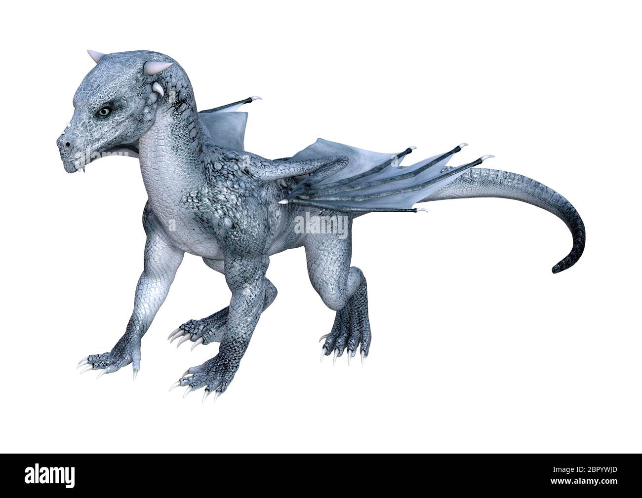 3D rendering of a fantasy dragon whelp isolated on white background ...