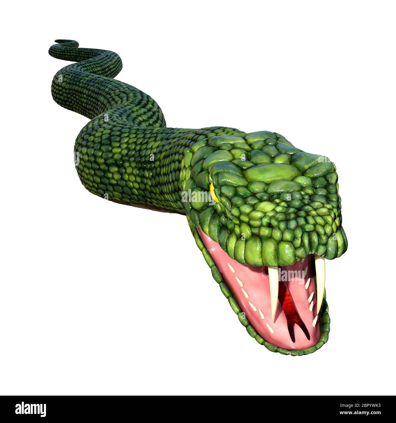 3D rendering of a green giant fantasy snake isolated on white ...