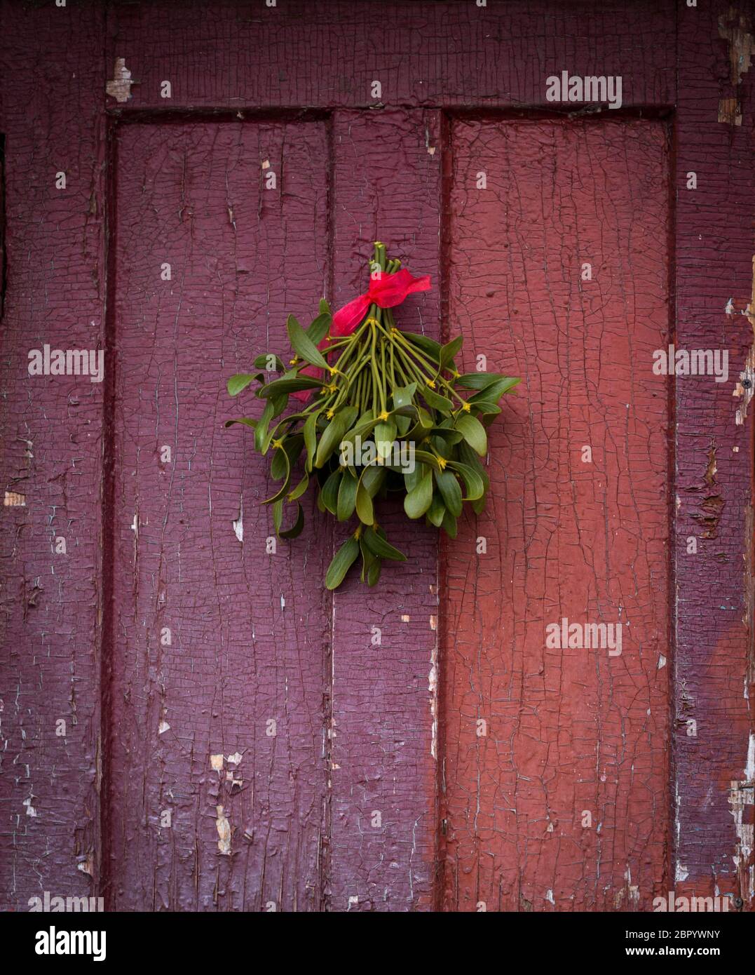 Christmas festive background with green mistletoe hanged on the old ...