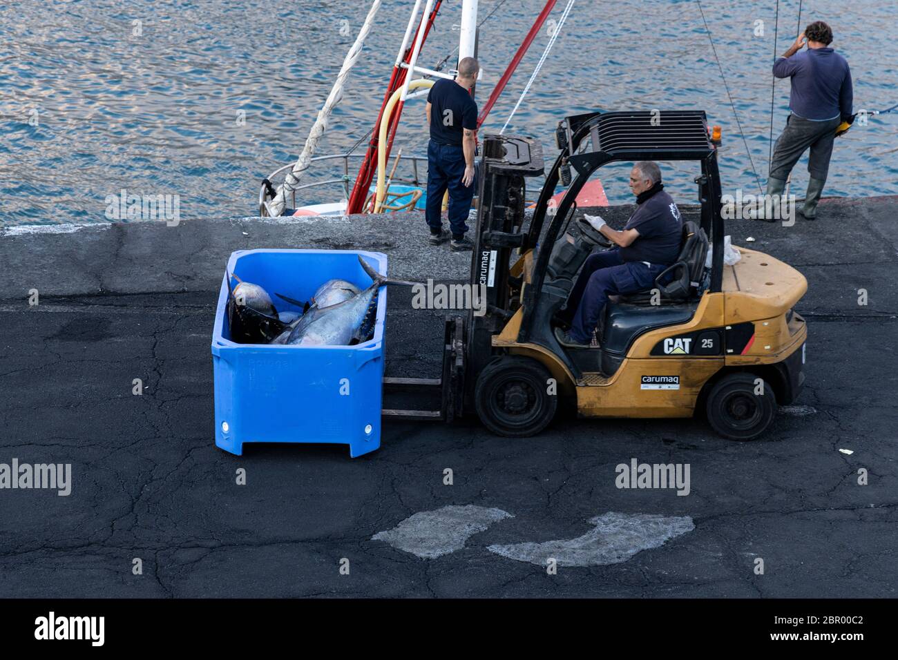 Tuna boxes hi-res stock photography and images - Alamy