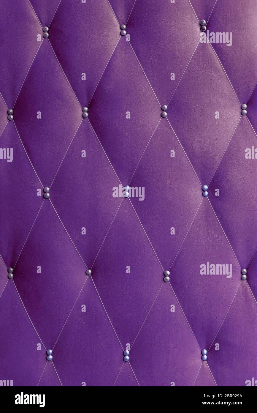 Soviet soft purple dermantine front door with a banner of fishing line ...