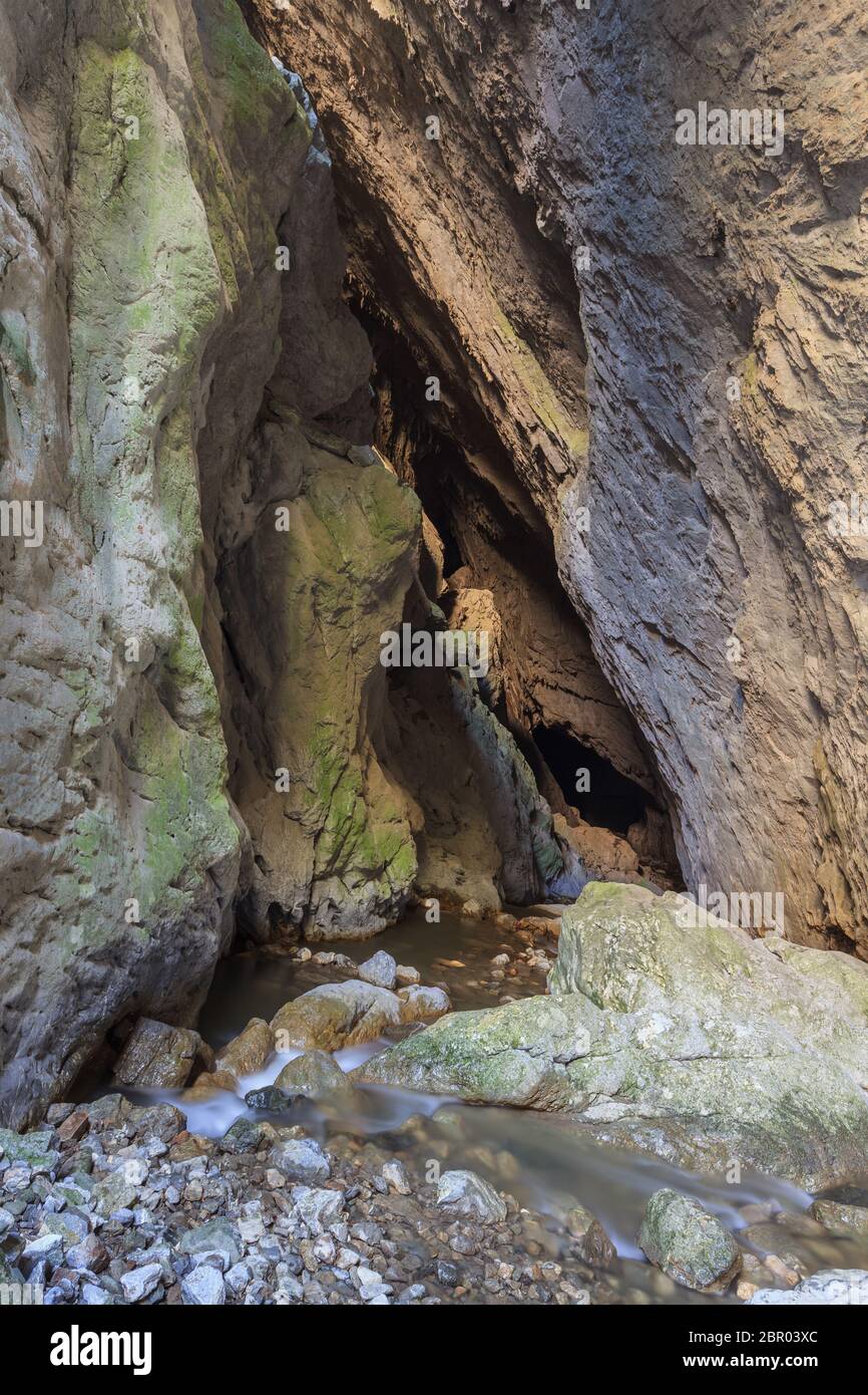 Ponicova cave entrance in the left bank of the Danube in Ciucaru Mare ...