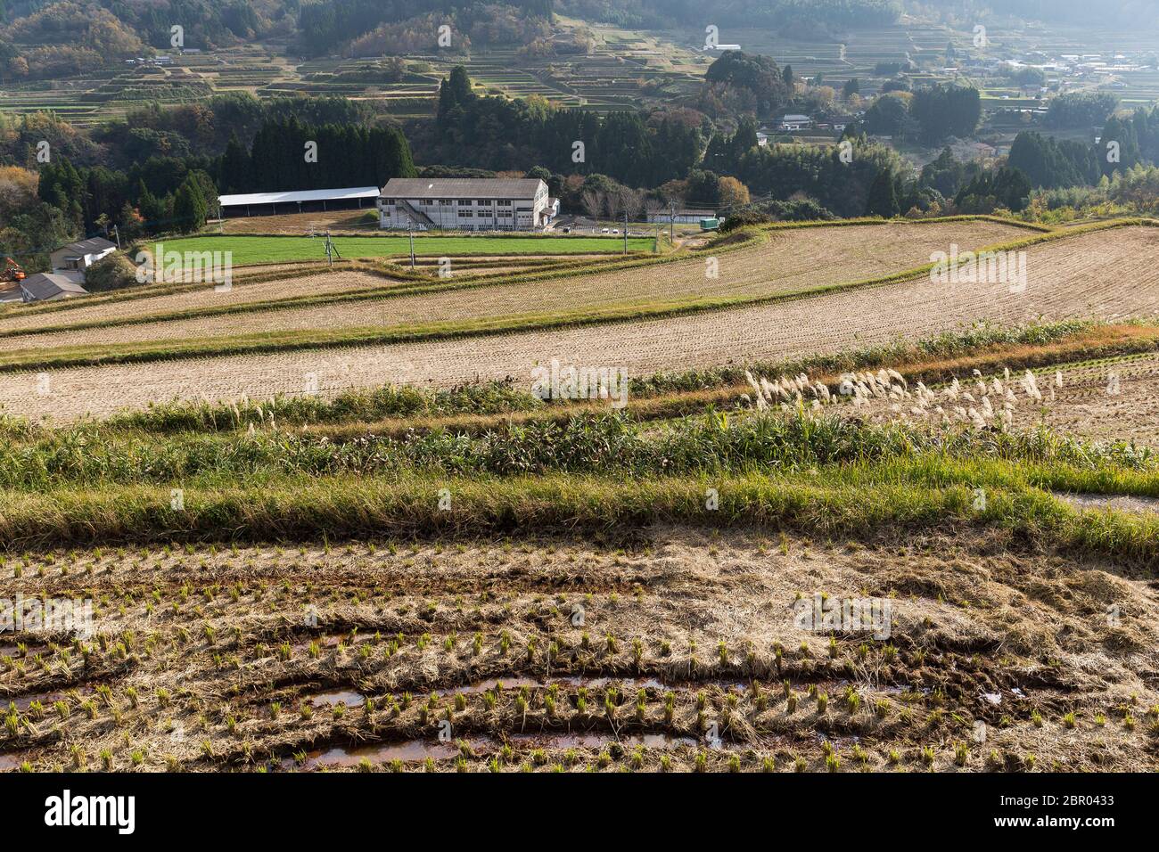 Traditional japanese countryside Stock Photo - Alamy