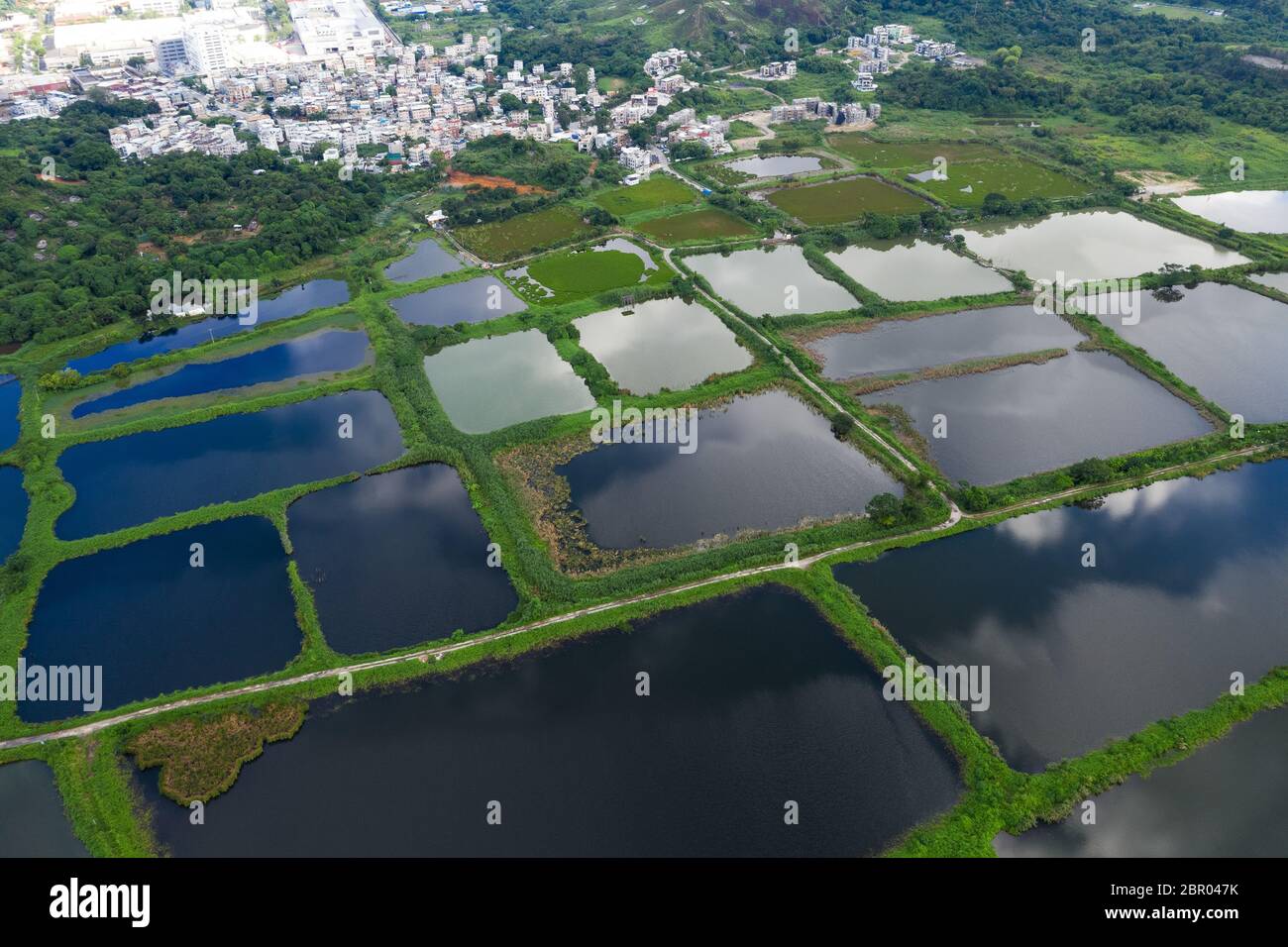 Top view of Fish hatchery pond Stock Photo - Alamy