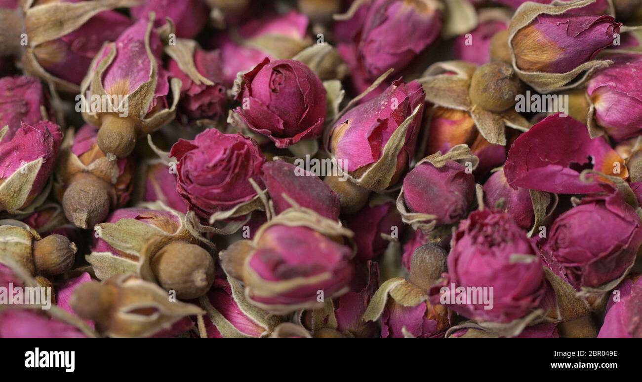 Dried rose tea Stock Photo - Alamy