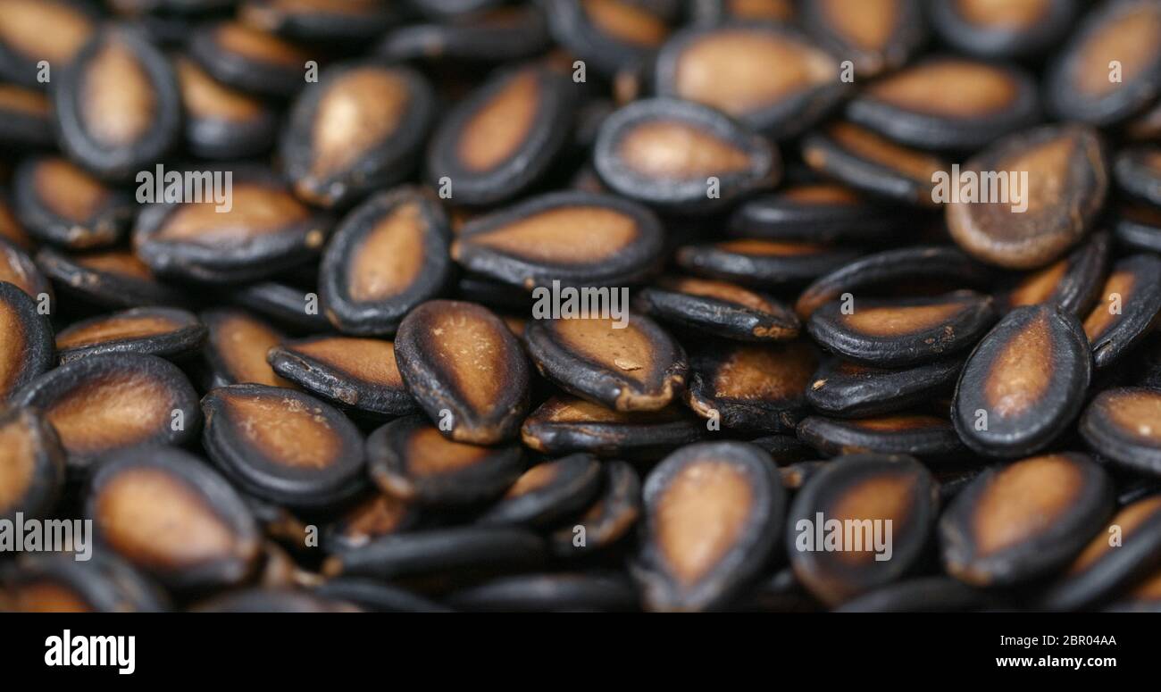 Black watermelon seed Stock Photo - Alamy