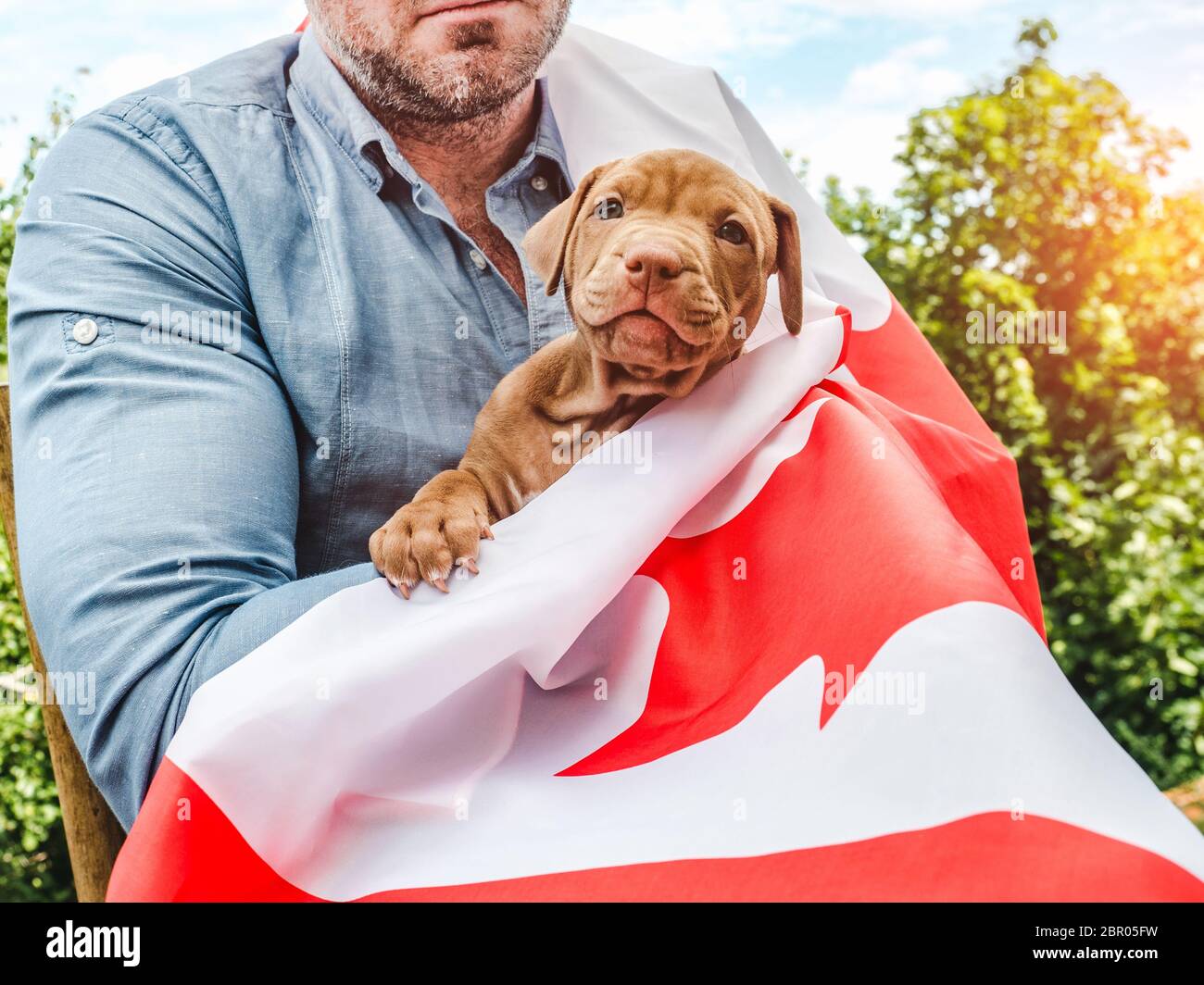 Handsome man and a charming puppy. Close-up Stock Photo - Alamy