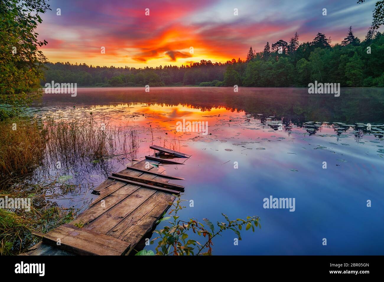 Bright sunrise over forest hi-res stock photography and images - Alamy