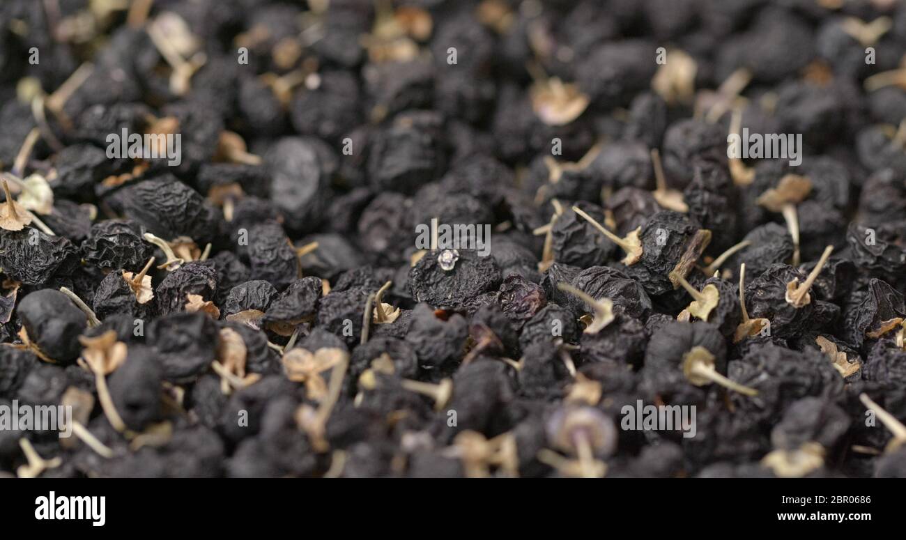 Russian box thorn hi-res stock photography and images - Alamy