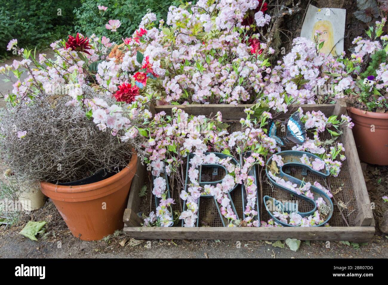 A beautiful and loving family tree shrine memorial to Iris Goldsmith ...