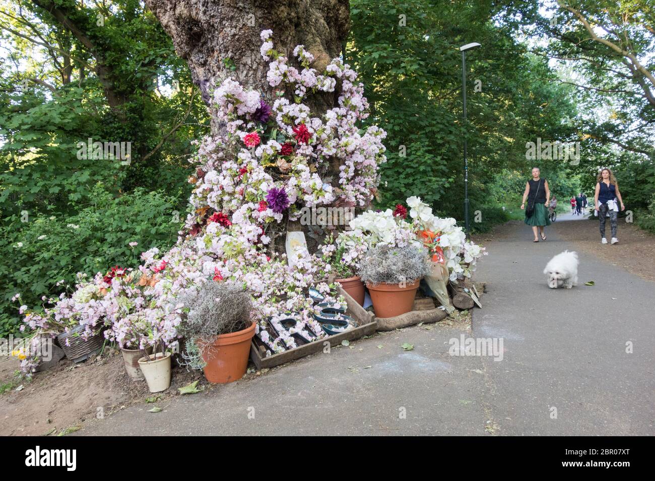 A beautiful and loving family tree shrine memorial to Iris Goldsmith on ...