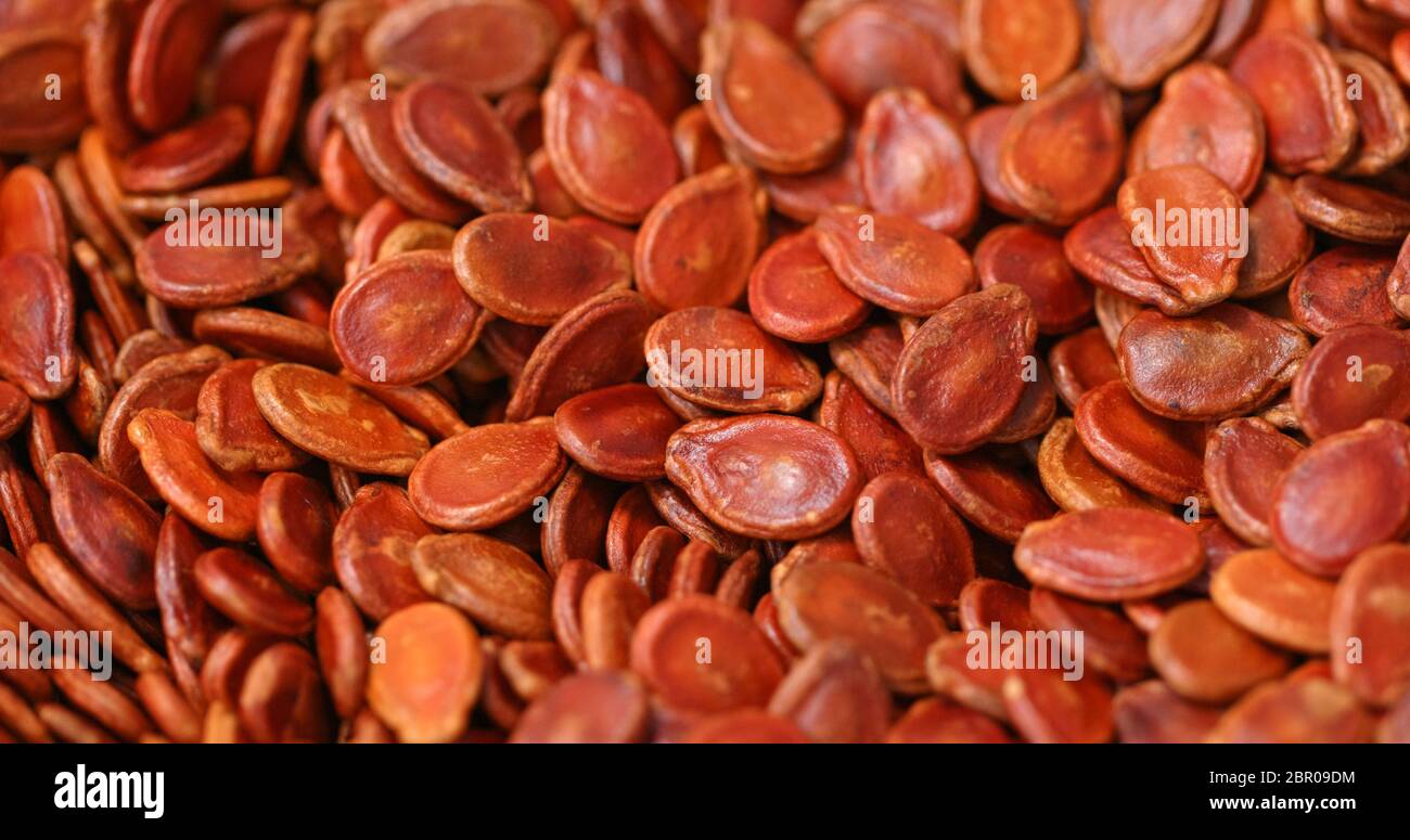 Red watermelon seed Stock Photo - Alamy