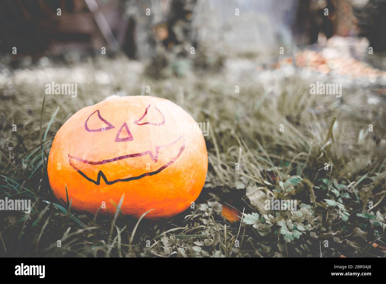 Jack lamp lies on the garden Stock Photo - Alamy
