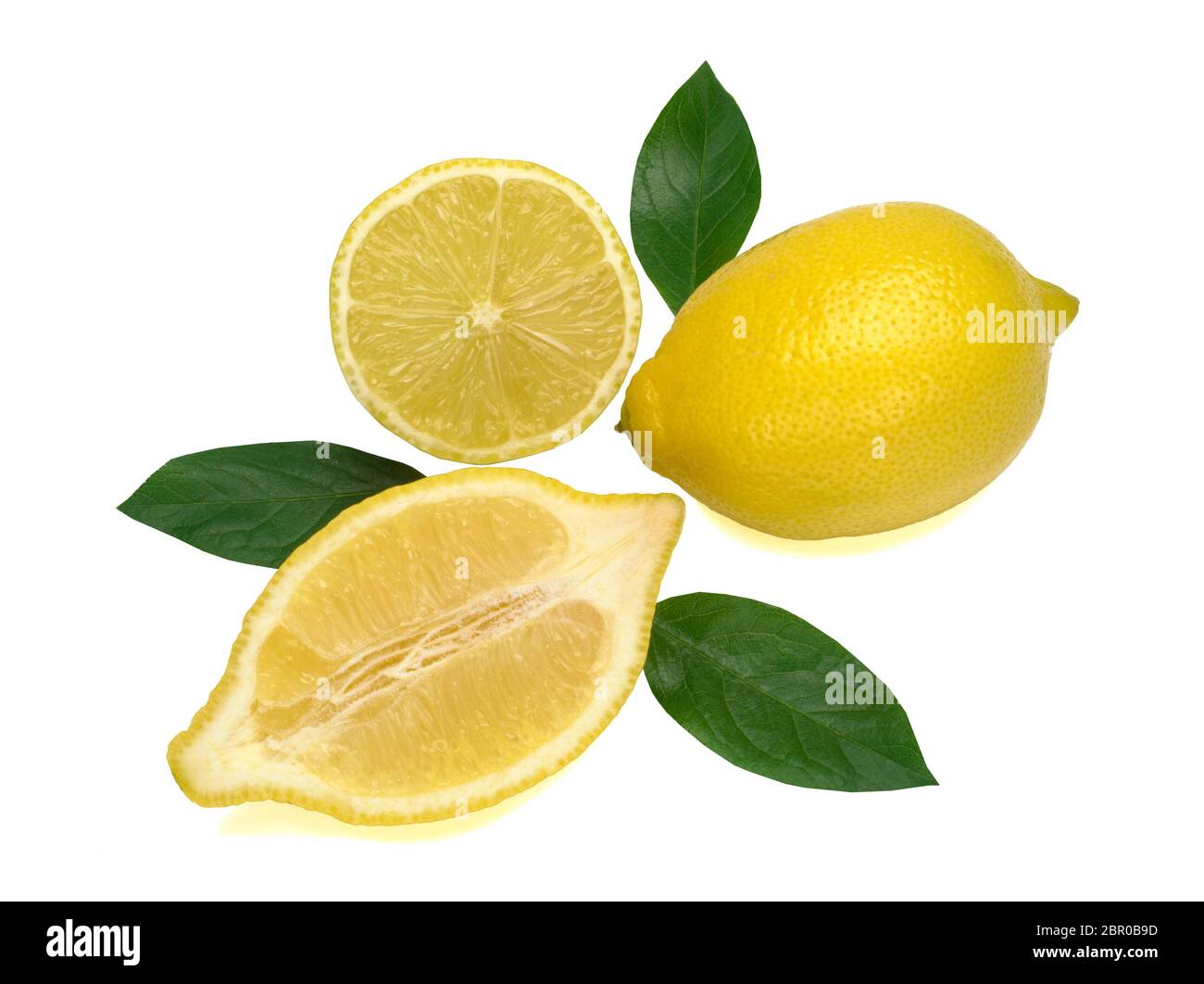 One whole yellow lemon and two halves of lemon with green leaves ...