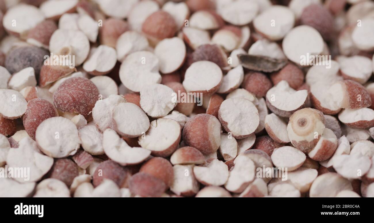 Chinese Gordon euryale seed Stock Photo - Alamy