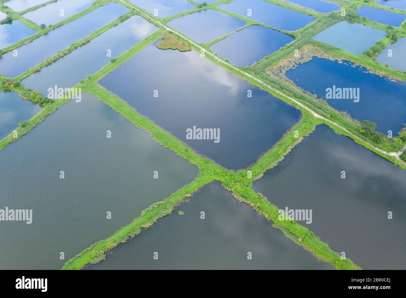 Aerial drone fly above fish hi-res stock photography and images - Alamy