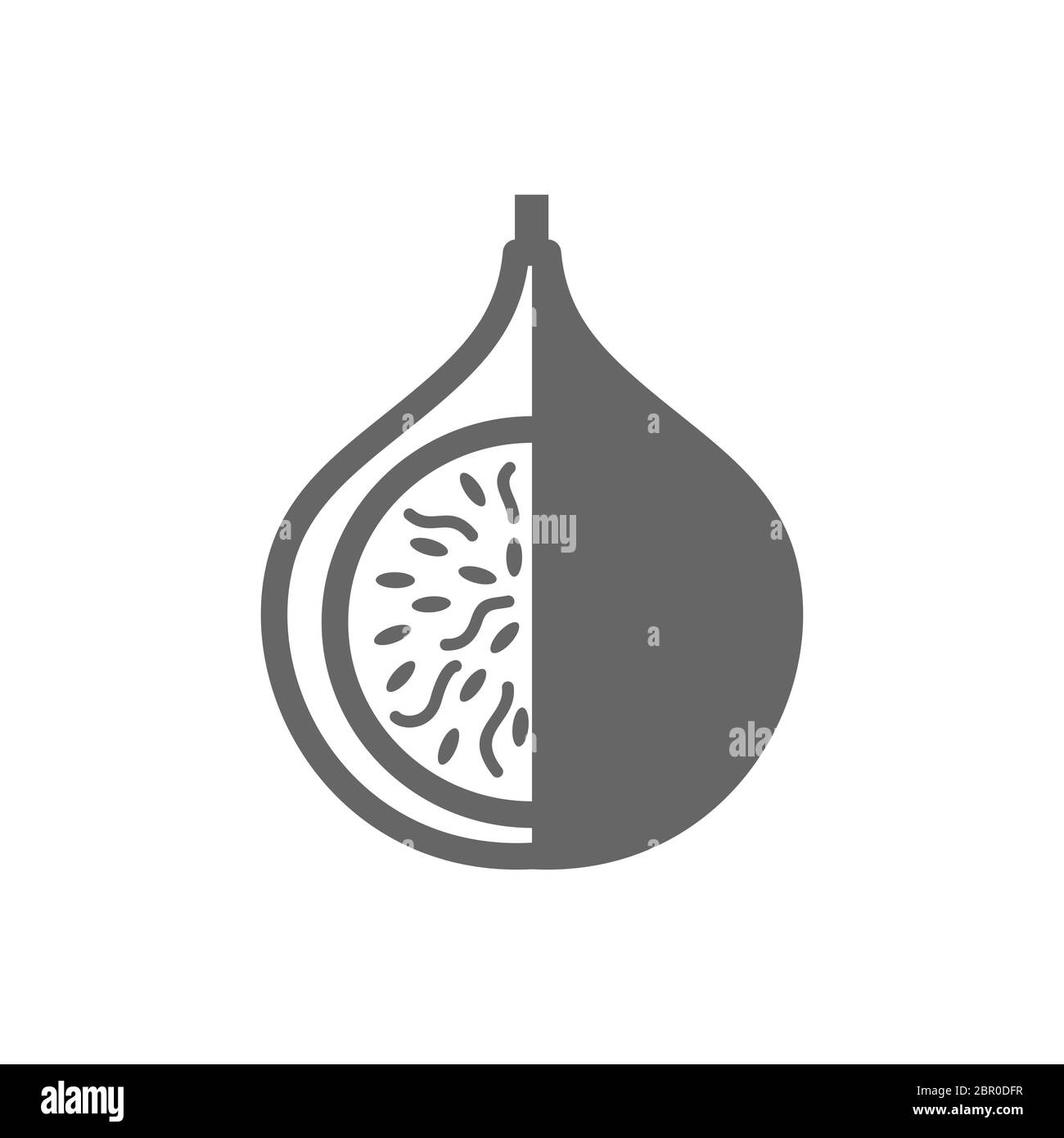 Fig outline icon. Fig tropical fruit sign. Vector illustration for food ...