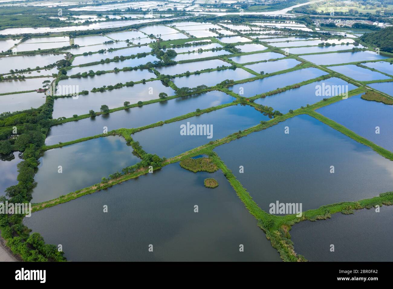 Aerial view Fish hatchery pond in Hong Kong Stock Photo - Alamy