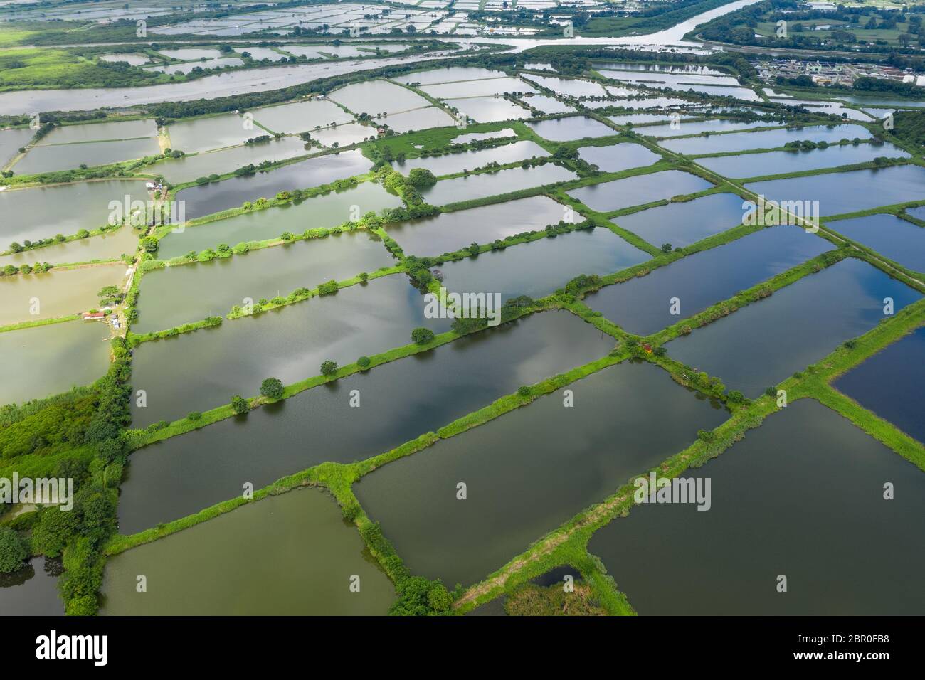 Fish hatchery pond Stock Photo - Alamy