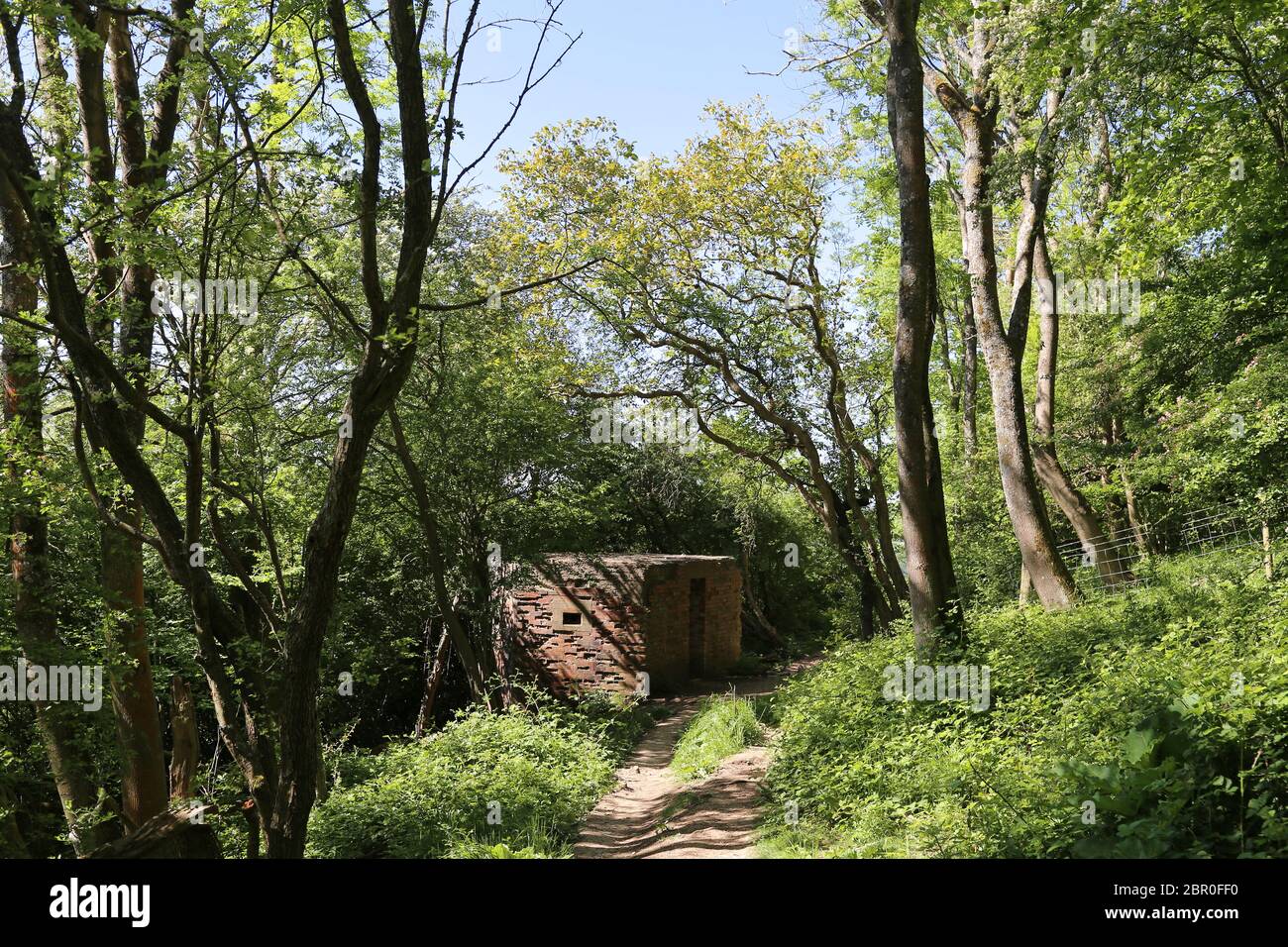 WW2 'pill box' bunker, White Downs, Pilgrim's Way (North Downs Way ...