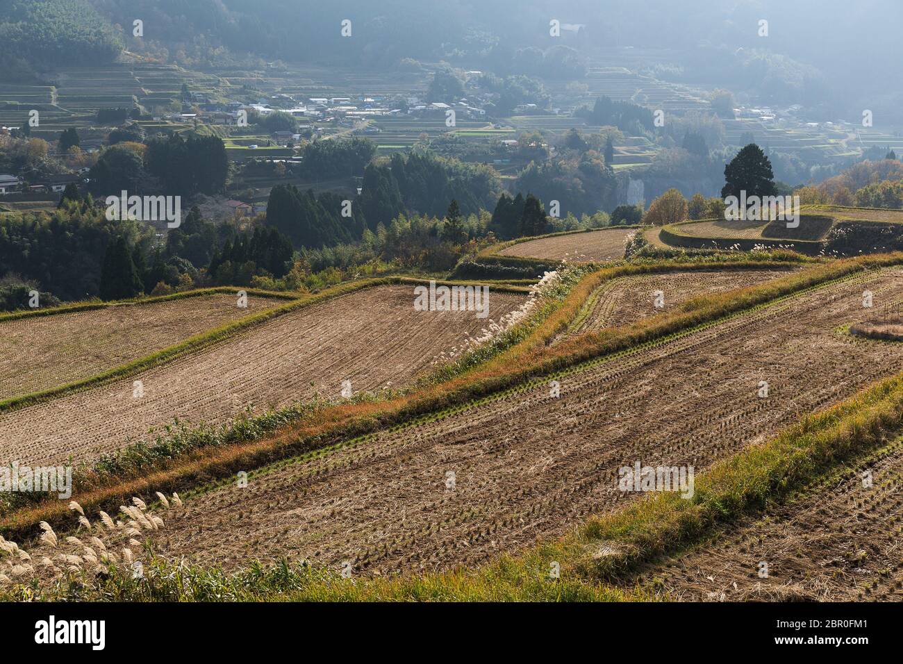 Traditional japanese countryside Stock Photo - Alamy