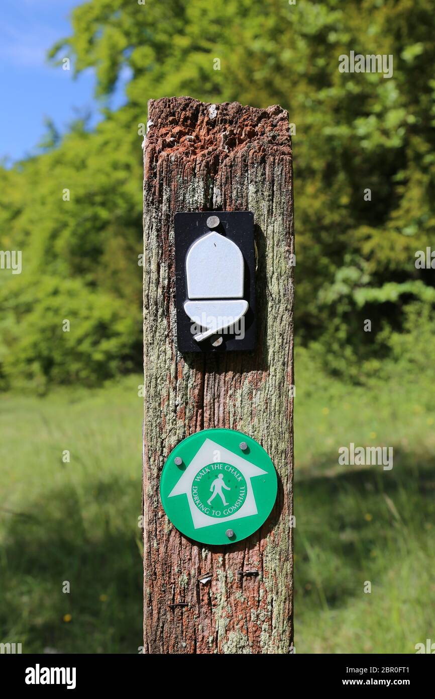 Path way marker, Blatchford Downs, Pilgrim's Way (North Downs Way ...
