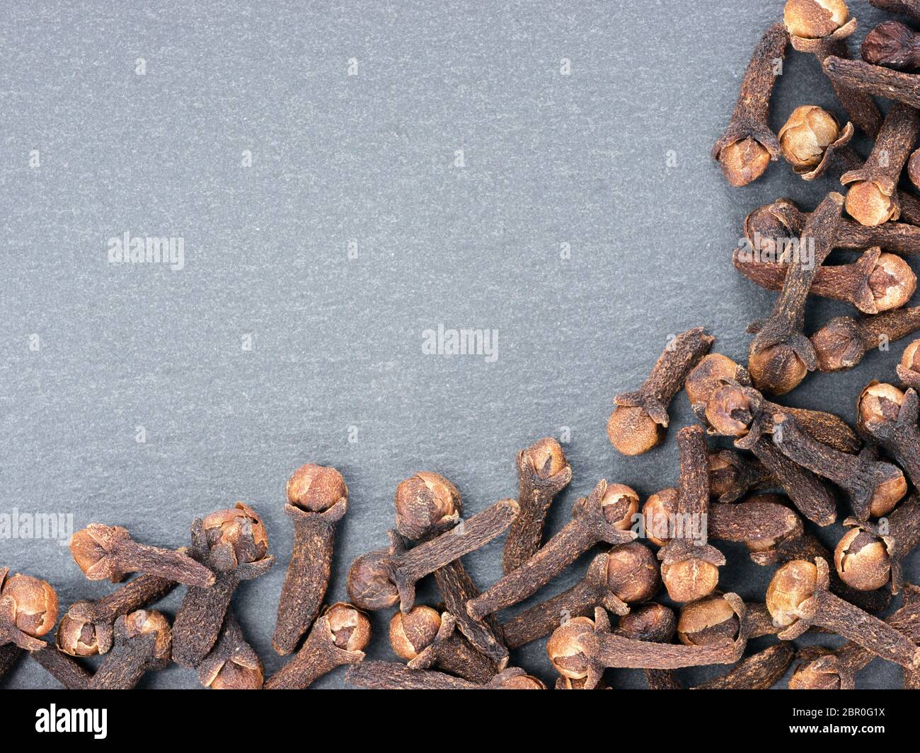 Cloves spice on gray slate background with copy space. Isolated one ...