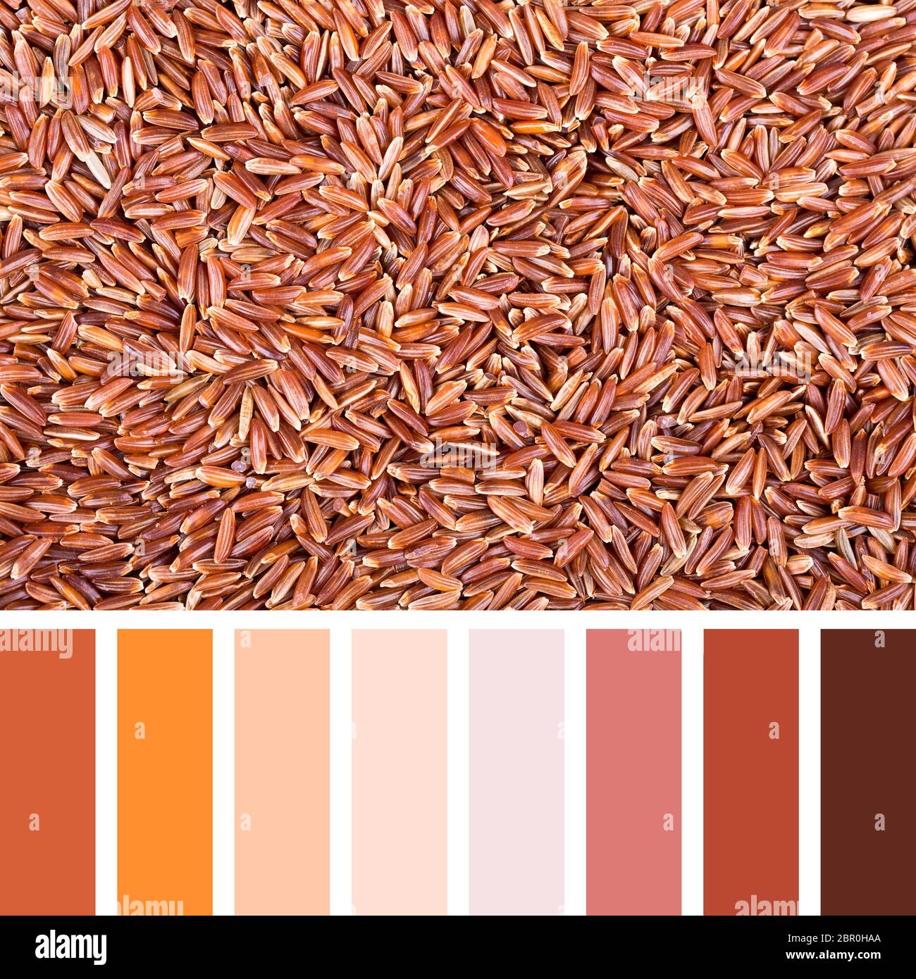 A background of red Camargue rice In a colour palette with ...