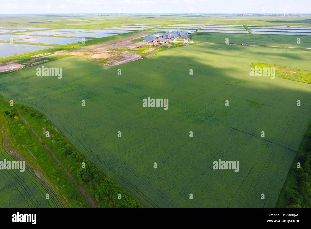Grain terminal. Plant for the drying and storage of grain. Rice plant ...
