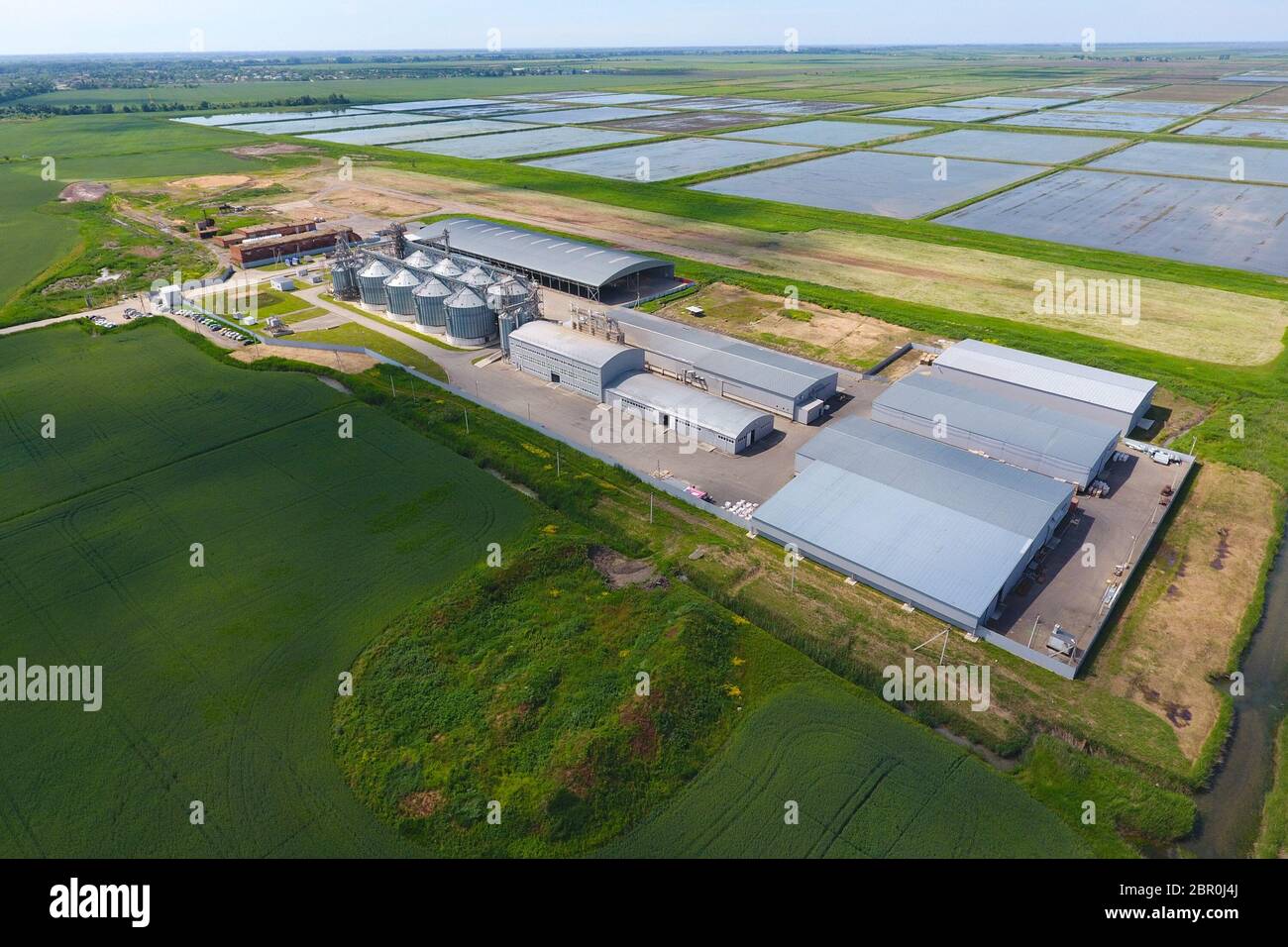 Grain terminal. Plant for the drying and storage of grain. Rice plant ...