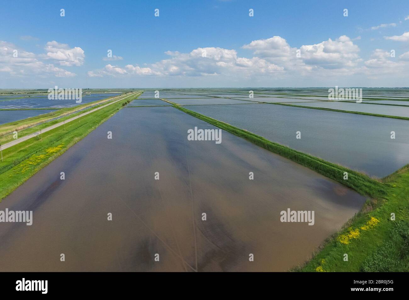 Flooded rice paddies. Agronomic methods of growing rice in the fields ...