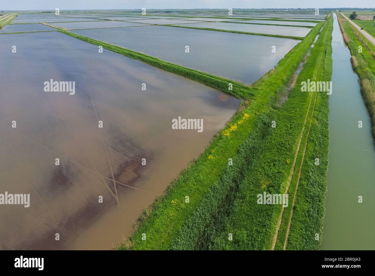 Flooded rice paddies. Agronomic methods of growing rice in the fields ...