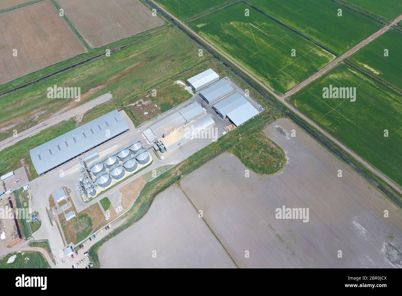 Plant for the drying and storage of grain. Rice plant in the middle of ...