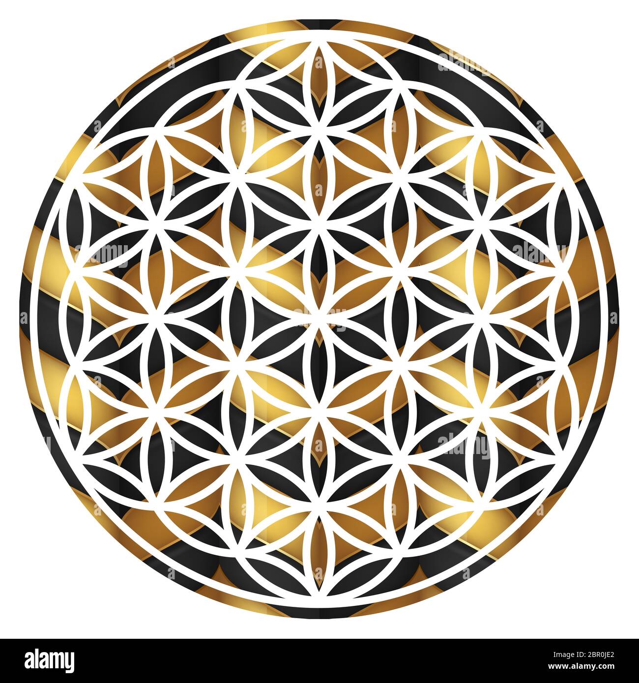 circles sacred symmetry esoteric energy structure golden illustration ...