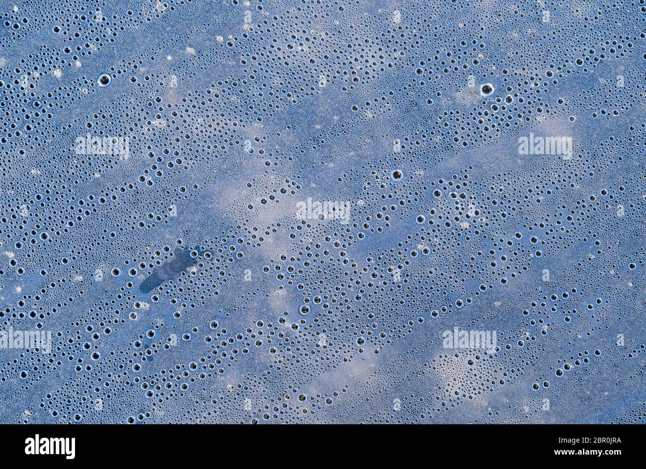 Background of the condensate drops on the film is polyethylene. Water ...