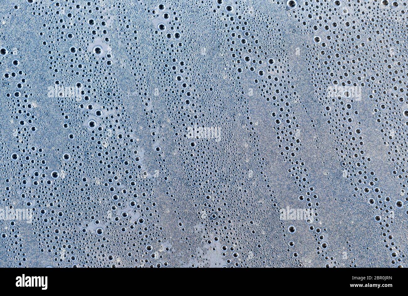 Background of the condensate drops on the film is polyethylene. Water ...