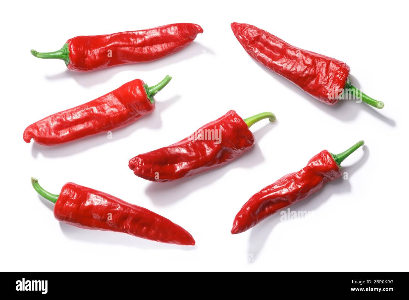 Aleppo pepper (Capsicum annuum), fresh overripe whole pods, top view ...