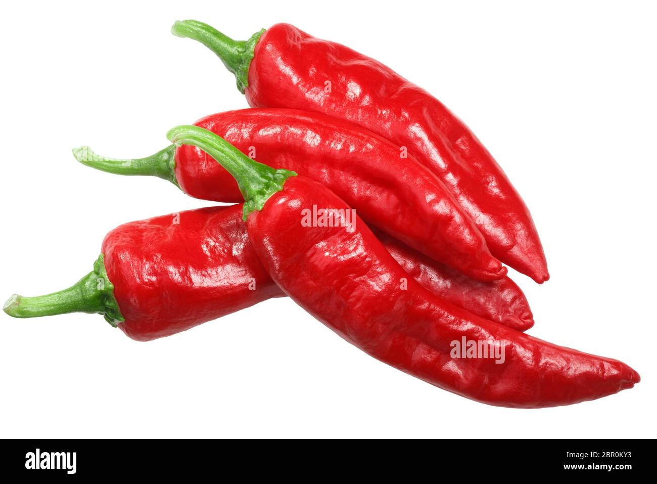 Aleppo pepper (Capsicum annuum), fresh overripe whole pods, top view ...