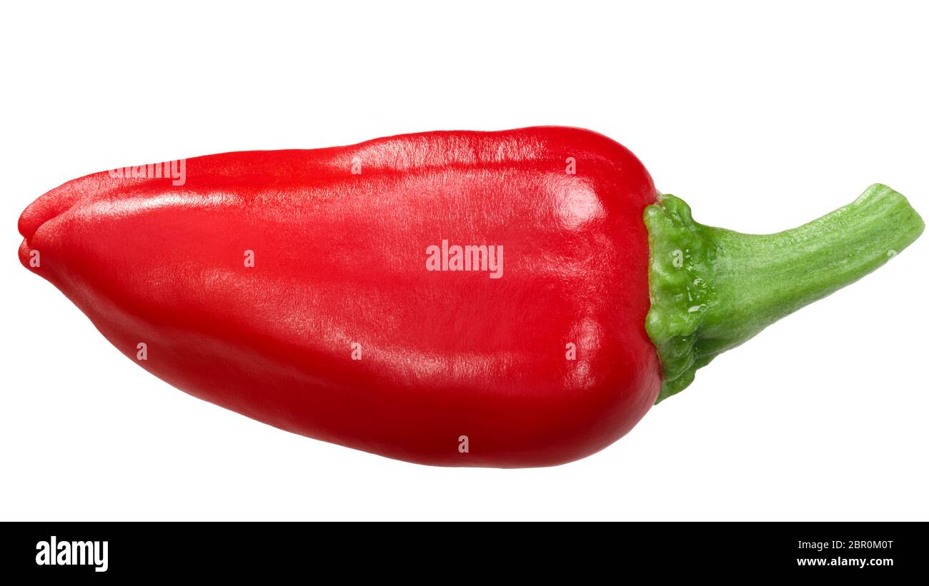 Basque Gorria red chile pepper, whole pod (Capsicum annuum fruit Stock ...