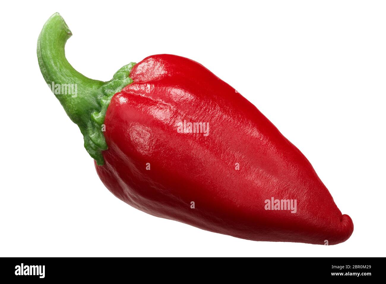 Basque chile hi-res stock photography and images - Alamy