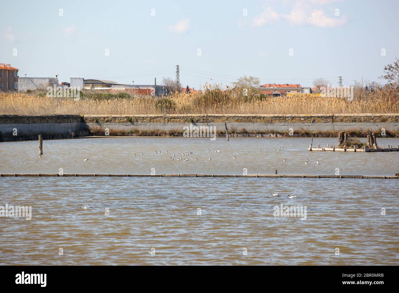 Pomorie lake hi-res stock photography and images - Alamy