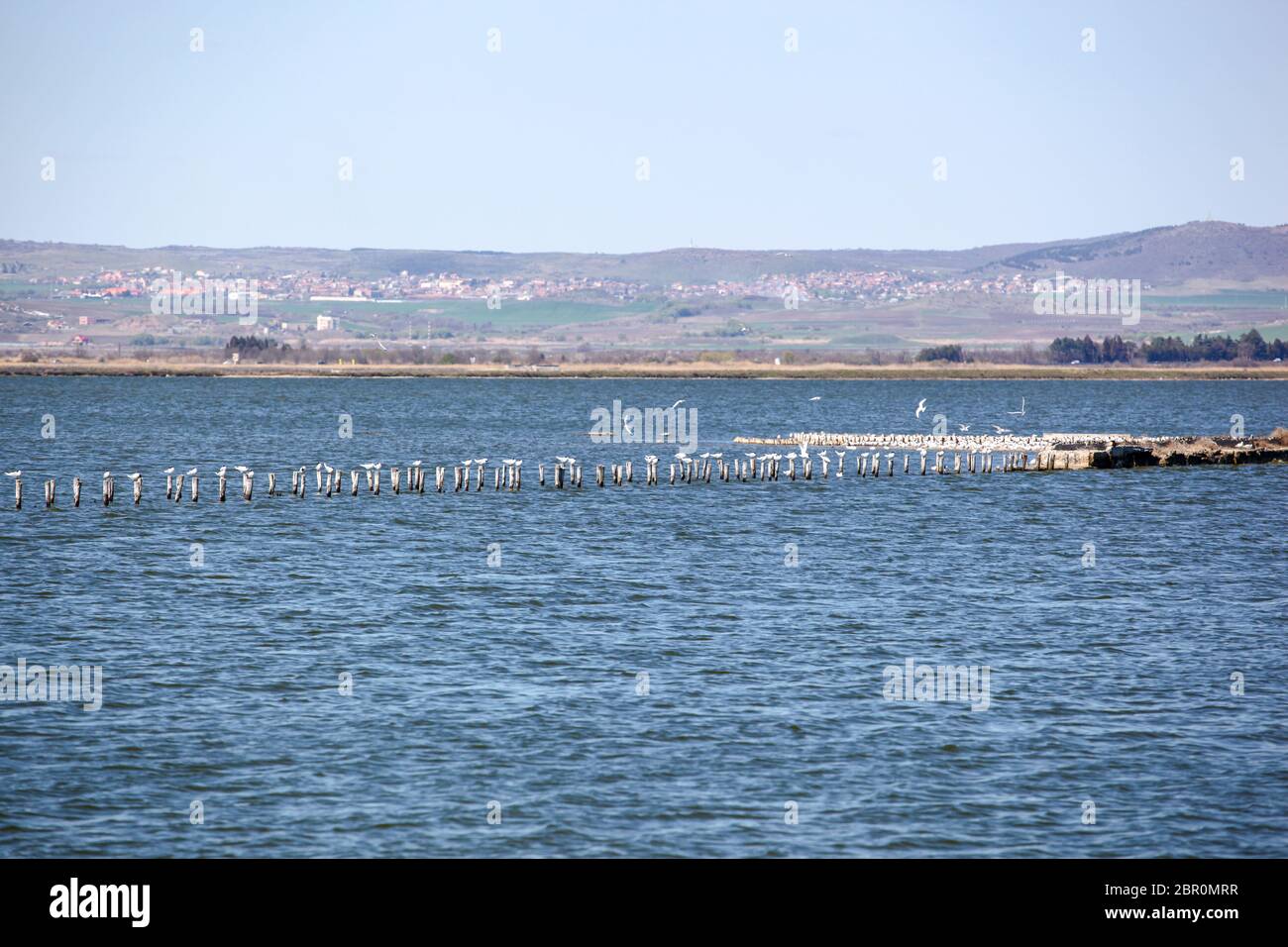 Pomorie lake hi-res stock photography and images - Alamy