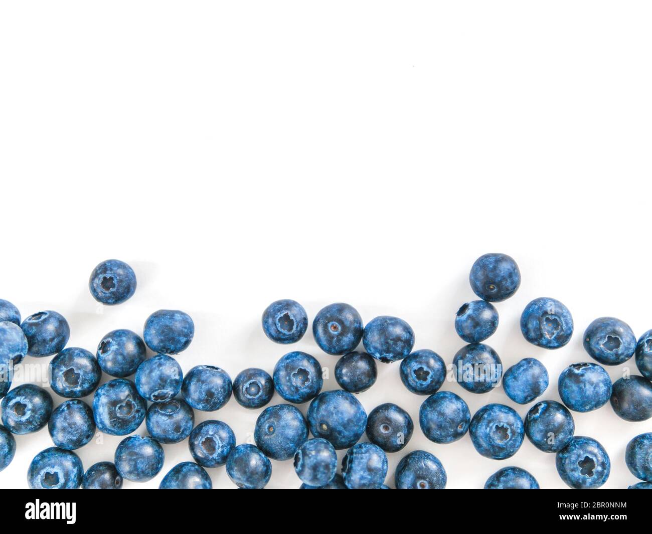 Creative layout with fresh ripe berries. Blueberry isolated on white ...