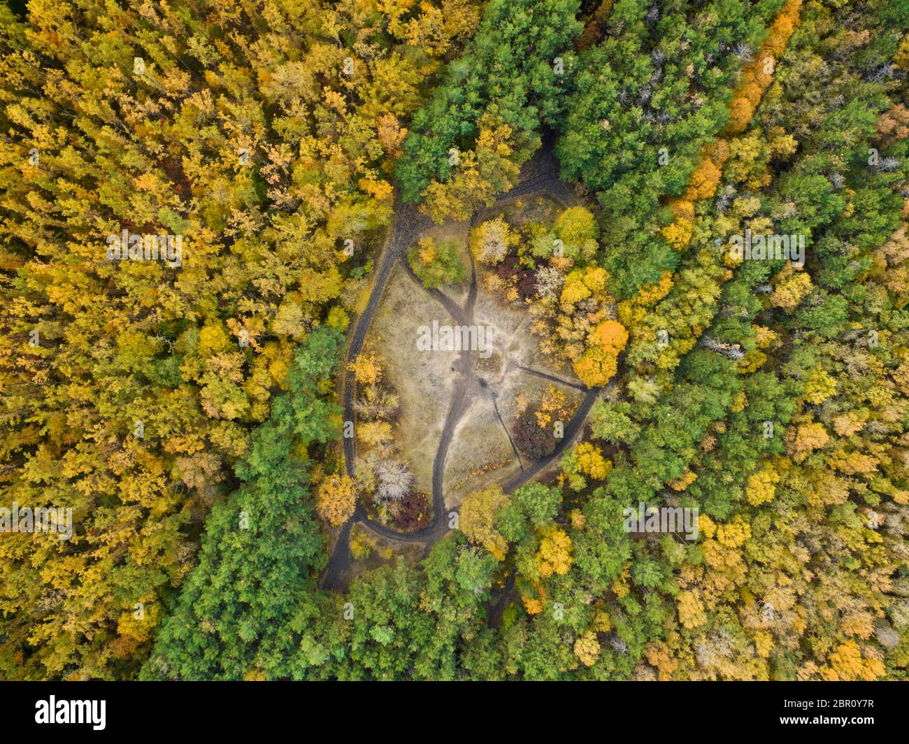Aerial view of coniferous and deciduous trees heart shaped Stock Photo ...